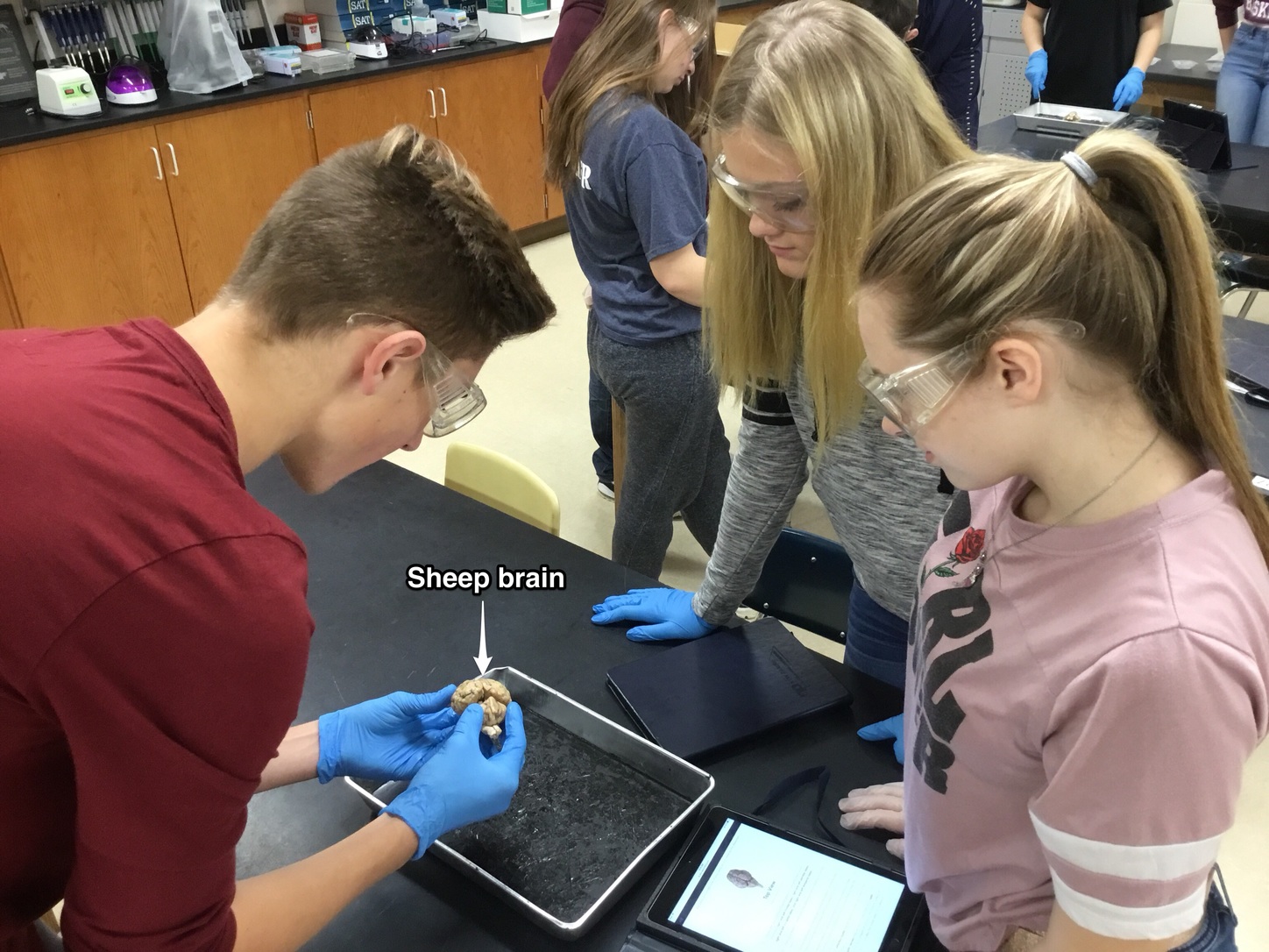 New Prairie High School – New Prairie United School Corporation